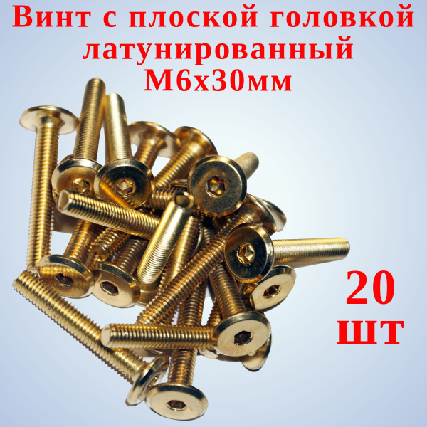 Винт M6 x , головка: Плоская, 20 шт - купить по выгодной цене в интернет-магазине OZON (1603724020)