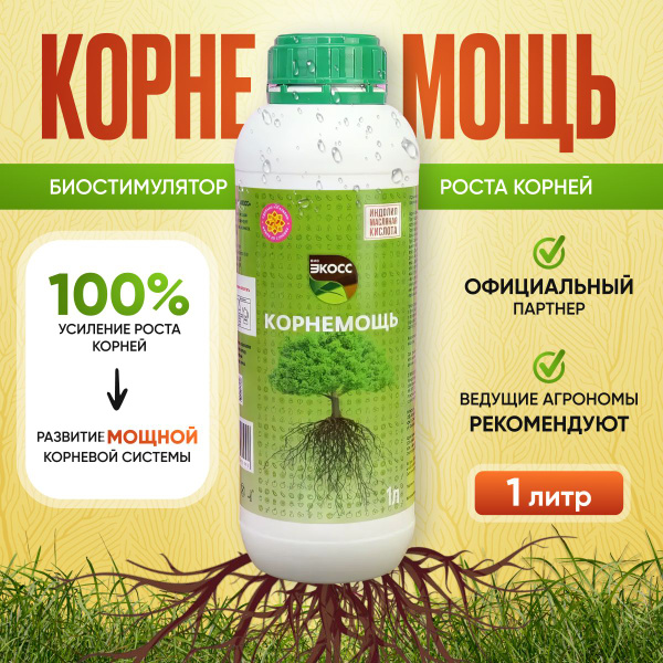 Корневин для растений / Стимулятор роста растений и корнеобразования ...