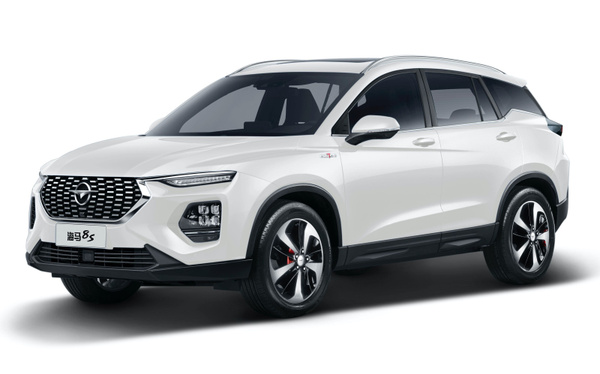 Купить HAIMA 8S 1.6T Flagship (белый) онлайн с доставкой на OZON (1611837217)