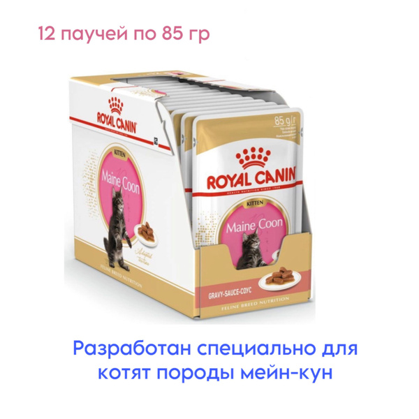 Royal Canin Maine Coon Kitten (соус) влажный корм для котят породы Мейн ...