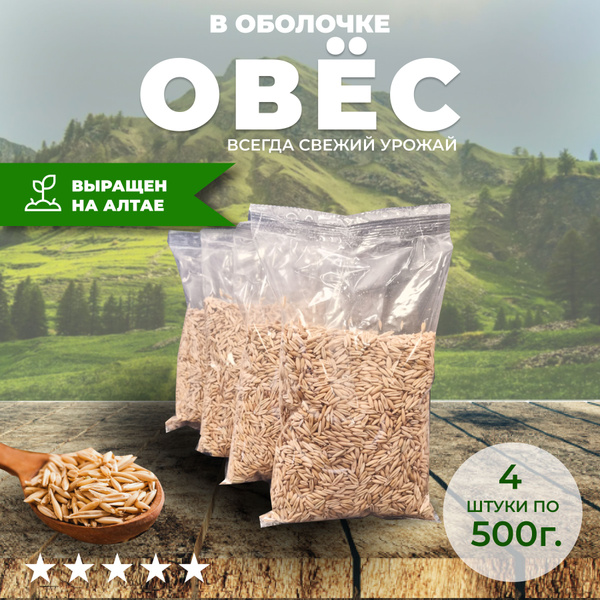 Овес неочищенный Подходит для отваров и заваривания 2 кг купить на OZON ...