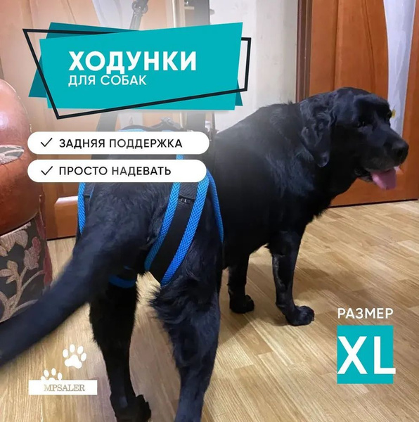 Ходунки для собак, поддержка задних лап пожилых и травмированных собак ...