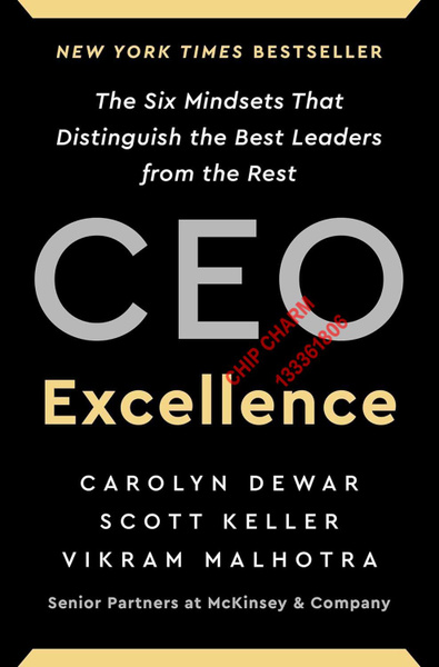 CEO Excellence: The Six Mindsets That Distinguish the Best Leaders from ...