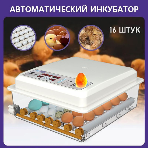 16 яиц, Автоматический интеллектуальный домашний инкубатор для яиц ...