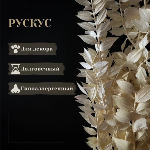 Сухоцветы Рускус, 70 см, 150 гр, 1 шт купить по выгодной цене в ...