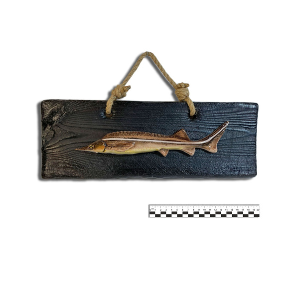 Украшение подвесное интерьерное Настенная статуэтка осетра исп 8 купить по доступным ценам в