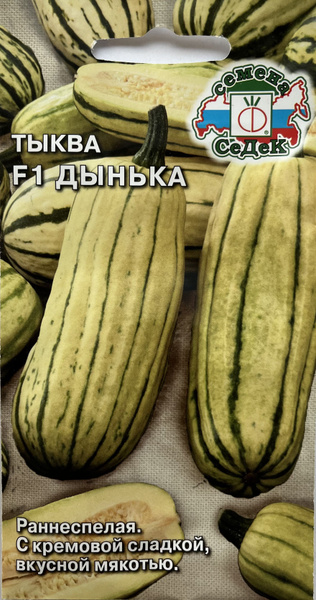 Тыквы Семена СеДек Тыква - купить по выгодным ценам в интернет-магазине ...