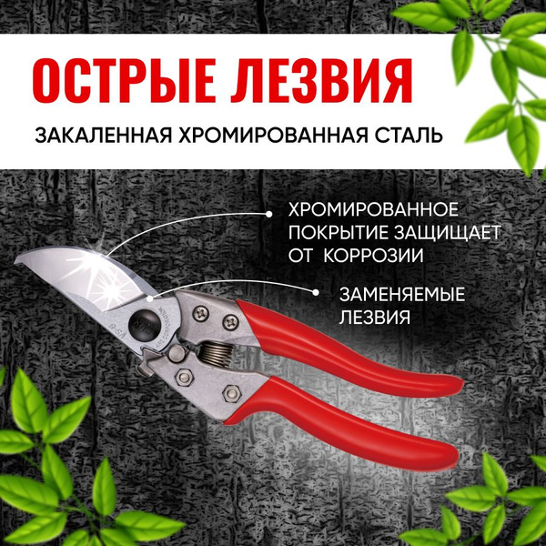 ARS Секатор купить на OZON по низкой цене (1761465468)