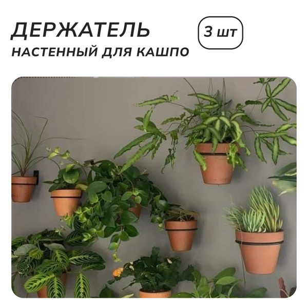 Держатель для кашпо настенный черный 3 шт, кронштейн для цветов ...