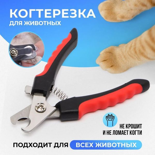 Когтерезка для собак и кошек купить на OZON по низкой цене (1551236874)