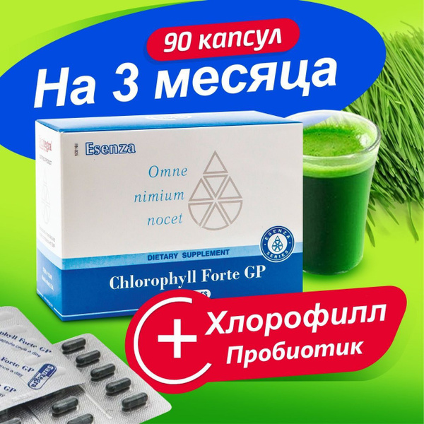 Витамины для иммунитета Хлорофилл Chlorophyll Forte GP Santegra ...