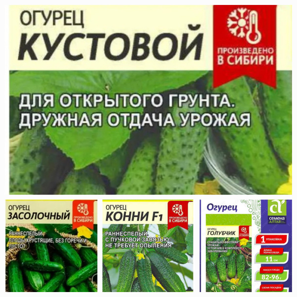 Семена Алтая огурец - купить по выгодным ценам в интернет-магазине OZON ...