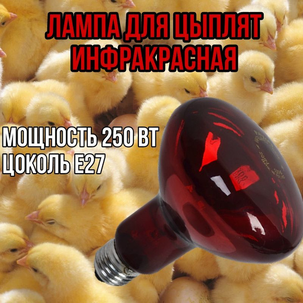 Лампа и/к для цыплят красная 250 Вт - купить с доставкой по выгодным ...