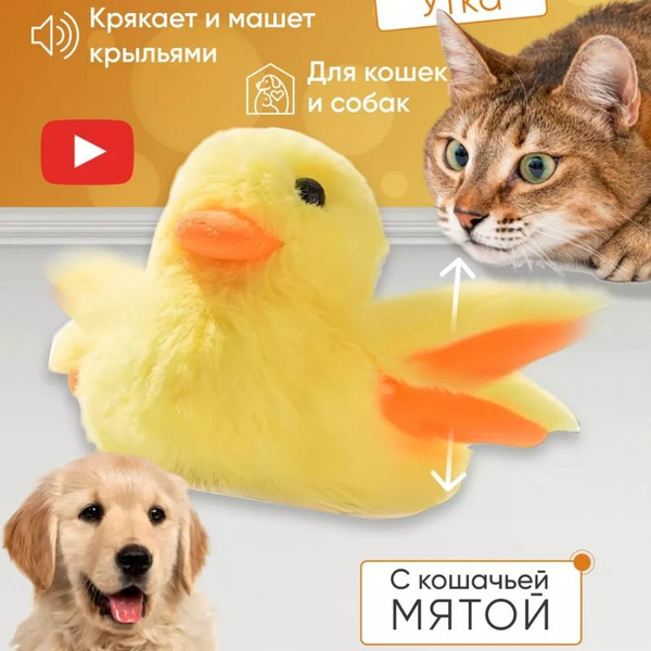 интерактивная игрушка для кошек,Игрушки для кошек и собак интерактивный ...