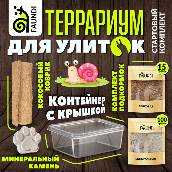 Террариум для улиток, улиткарий, набор для Ахатин Faundi - купить с ...