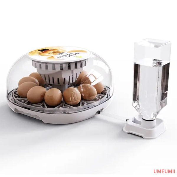 Инкубатор HHD 12 Wonegg мини автоматический для перепелов и цыплят на ...