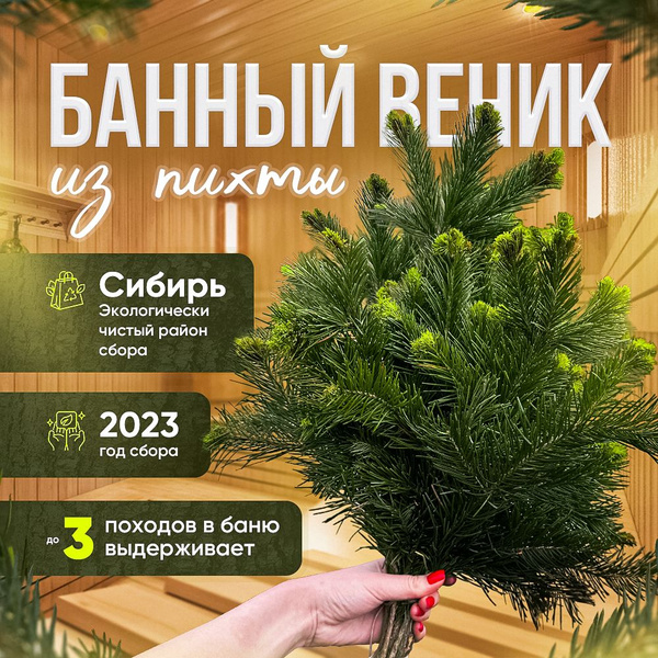 Веник для бани; веник из пихты - Веник для бани, купить в интернет ...
