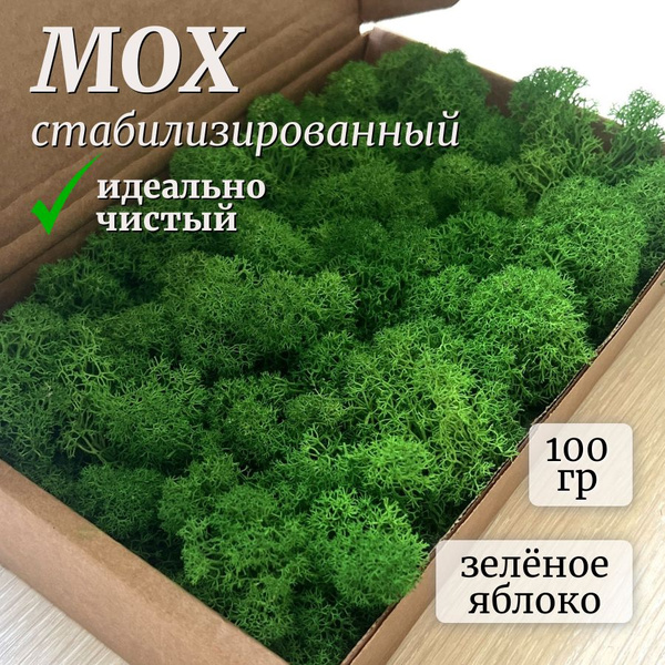 Стабилизированный мох SPECIALGREEN Мох, 100 гр, 100 шт купить по ...