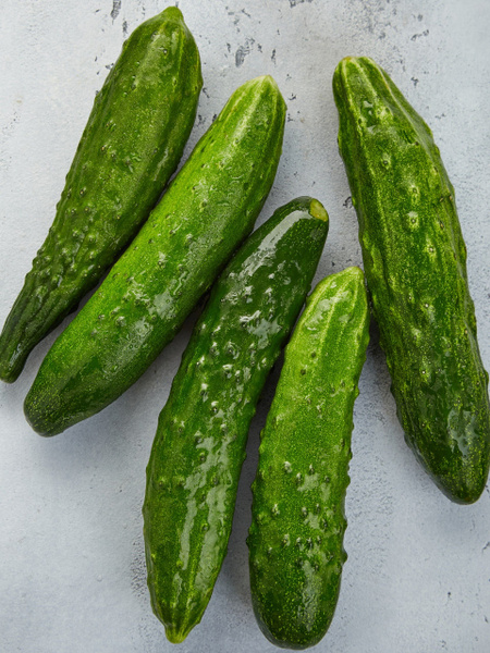 Огурцы ТСК 500гр. - купить с доставкой по выгодным ценам в интернет ...