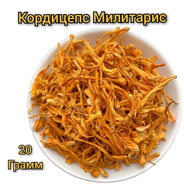 Гриб Кордицепс милитарис, cordyceps militaris сушёный, 20 гр. - купить ...