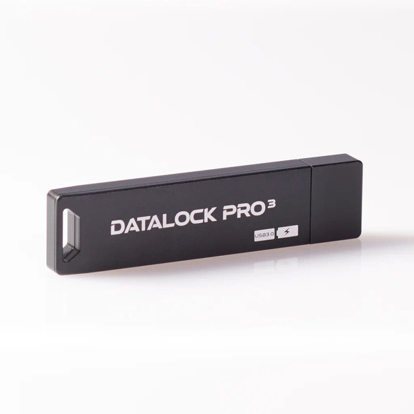 USB-флеш-накопитель DataLock PRO 64Gb USB 3.0 64 ГБ - купить по ...