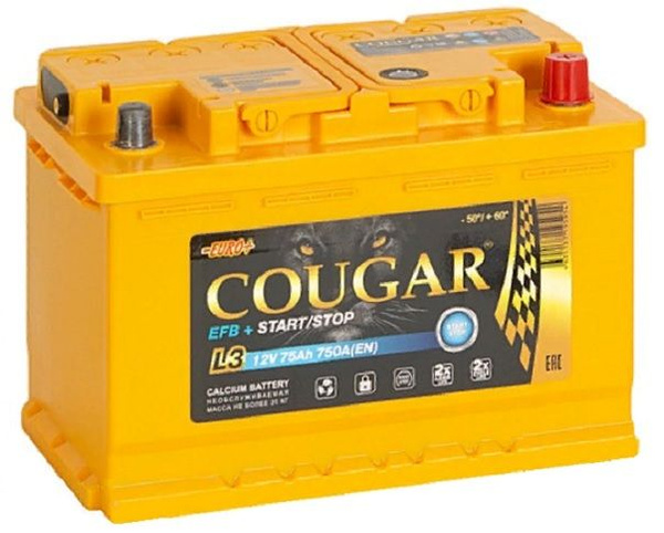 Аккумулятор автомобильный COUGAR 124100 купить по выгодной цене в ...