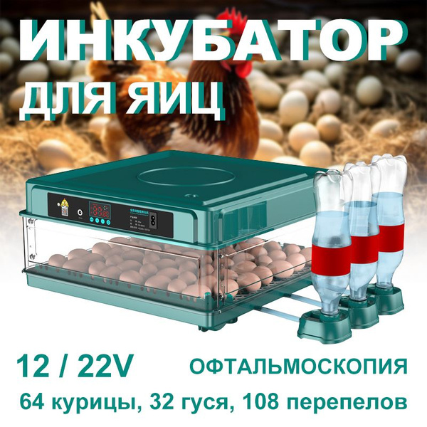 Инкубатор для яиц автоматический 220/12v IG-64 (вентилятор, овоскоп ...