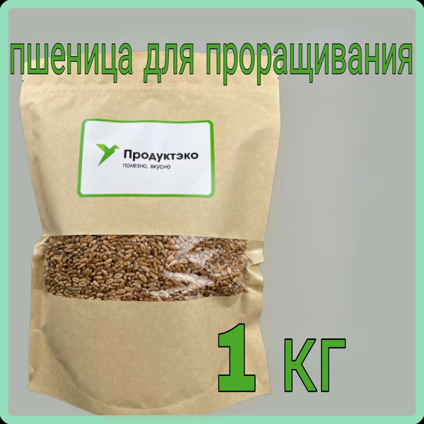 Характеристики Пшеница для проращивания, ростки и проростки пшеницы ...