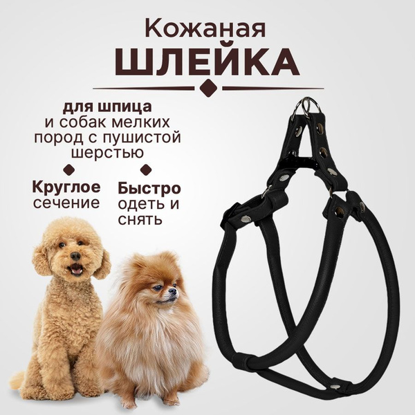 Шлейка для шпица круглая кожаная, шлейка для пушистых собак мелких ...