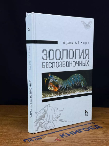 Зоология беспозвоночных купить на OZON по низкой цене (1722024808)