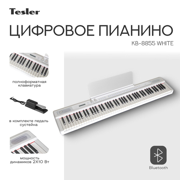 Цифровое пианино TESLER KB-8855 WHITE купить на OZON по низкой цене ...