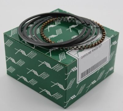 RP-57071 комплект колец на 1 цилиндр. 0.50 (Ремонтный размер +0.50 ...
