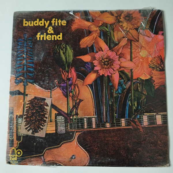 Винтажная виниловая пластинка LP Buddy Fite And Friend (USA 1971 ...