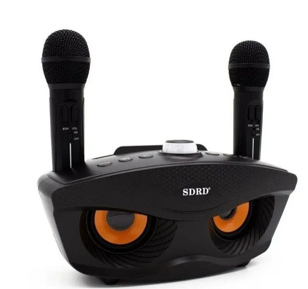 Караоке система для дома беспроводными микрофонами SDRD SD-306 Сова Золотая купить на OZON по ...