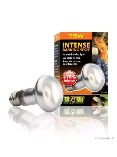 Греющая лампа для террариума с зауженным лучом Hagen Exo-Terra Intense ...
