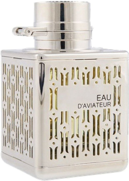 Atelier Flou Eau D'Aviateur Парфюмерная вода для мужчин 100 ml купить ...