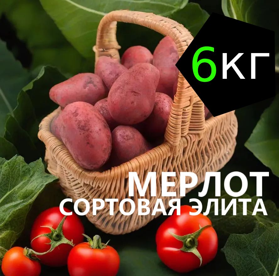 Батат Семенной купить на OZON по низкой цене