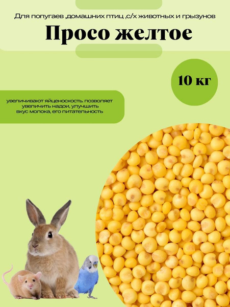 Просо желтое кормовое 10 кг. - купить с доставкой по выгодным ценам в ...