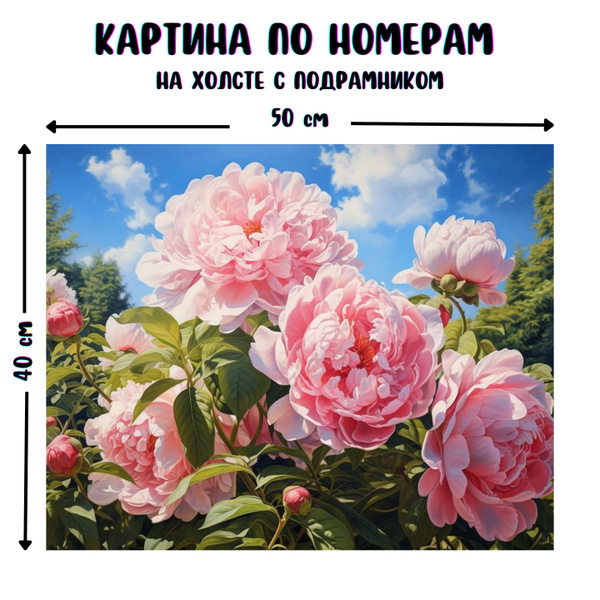 Картина по номерам 40х50 см на холсте с подрамником "Розовые пионы ...
