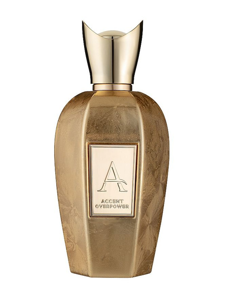 Fragrance World Over Power Accent/ Вода парфюмерная 100 мл (1434069947)