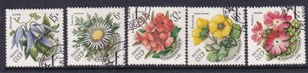 Вопросы и ответы о СССР 1981 цветы 5 марок – OZON (1654751281)