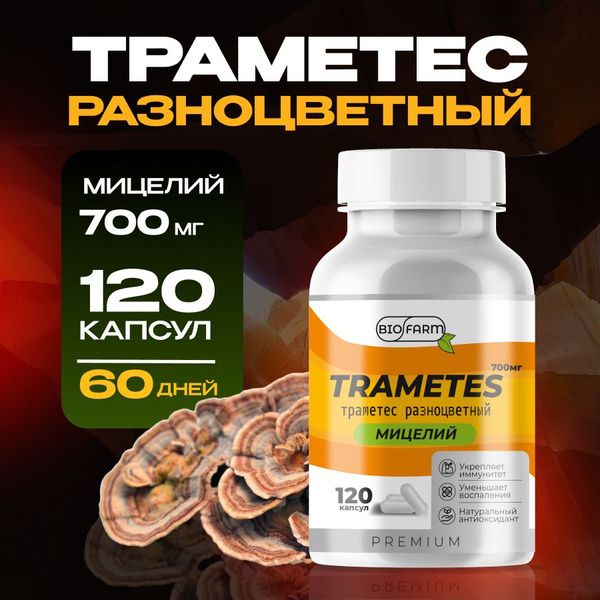 Траметес разноцветный мицелий 700мг, траметес гриб - купить с доставкой ...