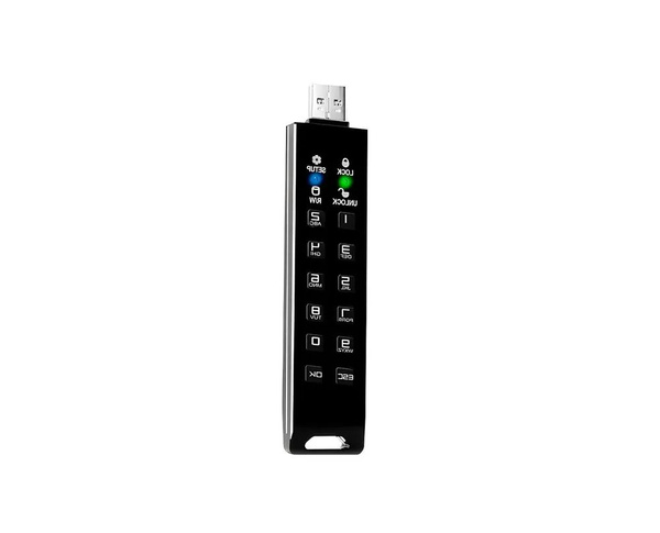 USB-флеш-накопитель DataLock PRO4 256 Gb USB 3.1 - купить по выгодной ...