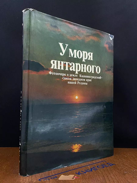 У моря янтарного - купить с доставкой по выгодным ценам в интернет ...