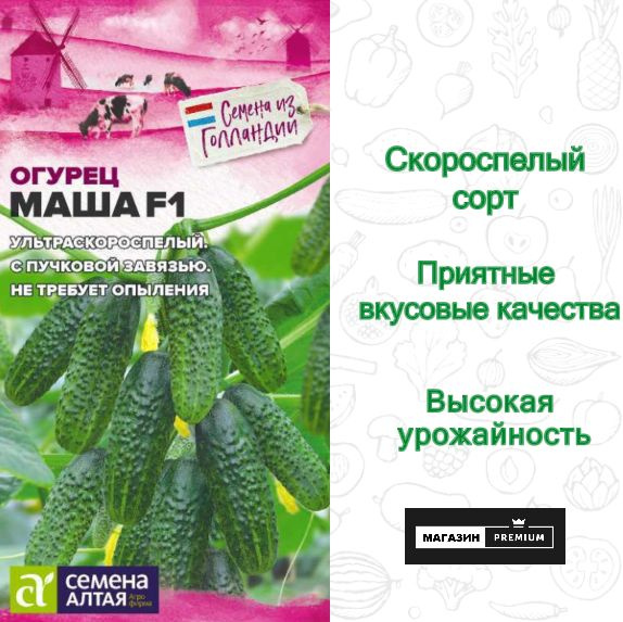 Огурцы Семена Алтая томат-огурец - купить по выгодным ценам в интернет ...
