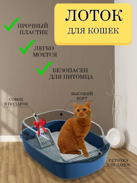 Большой лоток для кошек с высокими бортами купить с доставкой по