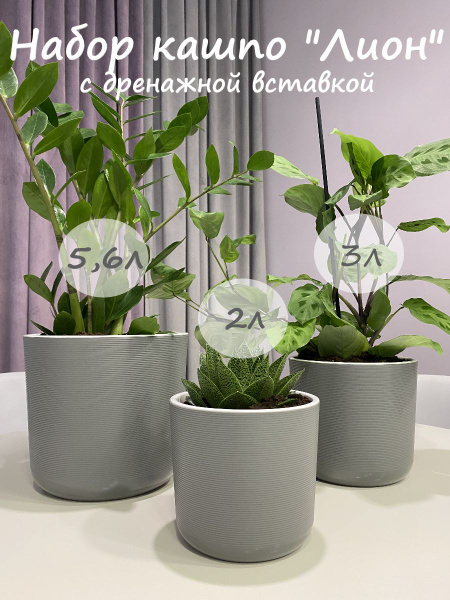 Live-in-green Горшок для цветов, 19 см х 21 см х 21 см, 5 л, 3 шт ...