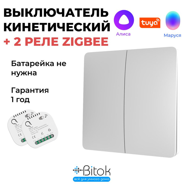 Беспроводной выключатель кинетический RF белый 2 кнопки + 2 реле RF+ZIGBEE 3.0 купить на OZON по ...