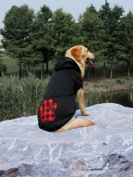Толстовка Собачья лапа для собак средних и крупных пород, размер 3XL, Rexy crew купить на OZON ...