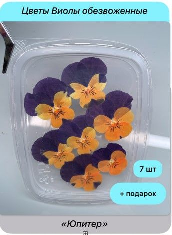 Цветы съедобные, обезвоженные, сушеные "Юпитер" для декора торта ...
